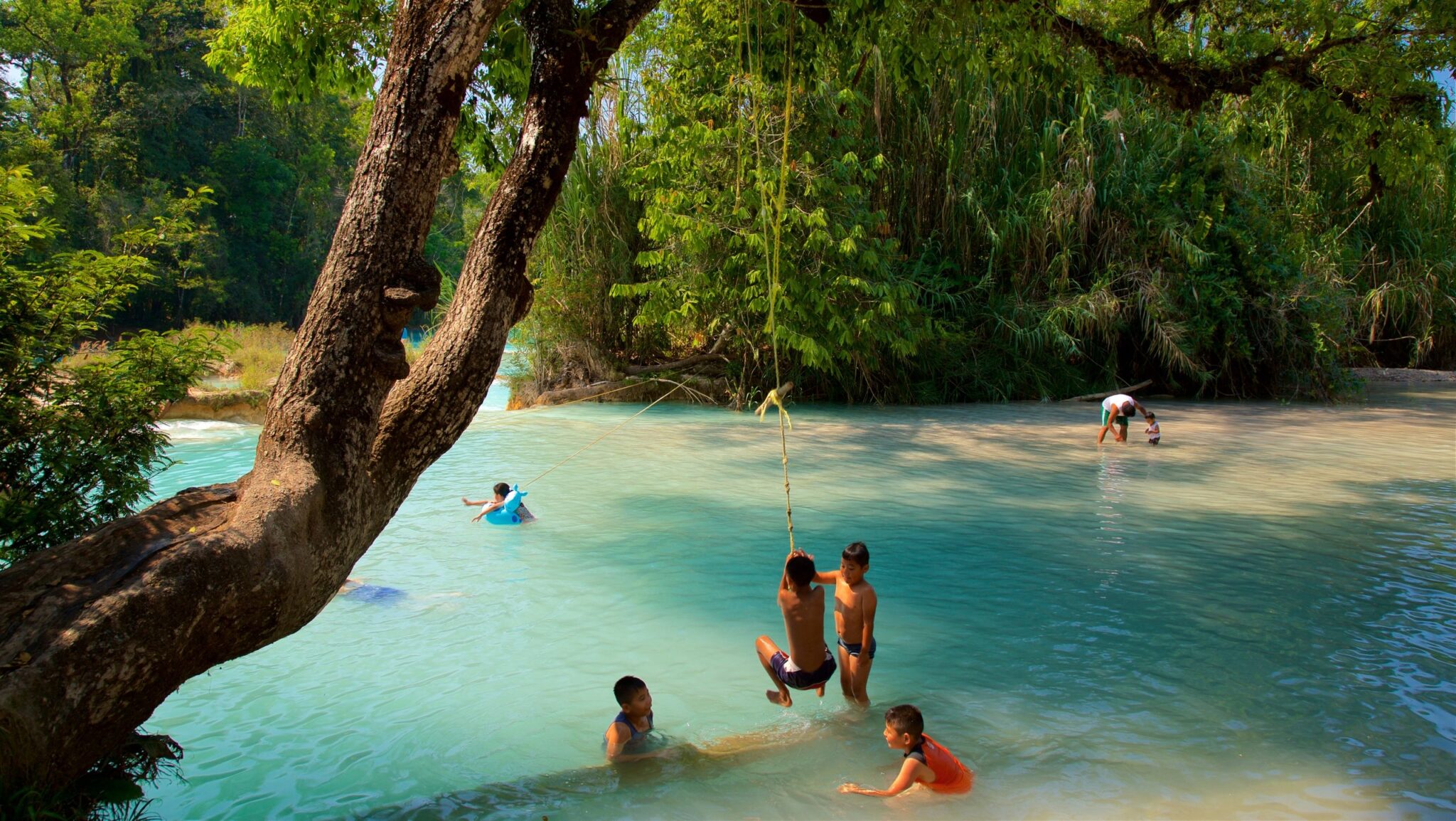 Cascadas de Agua Azul – Disfruta Chiapas