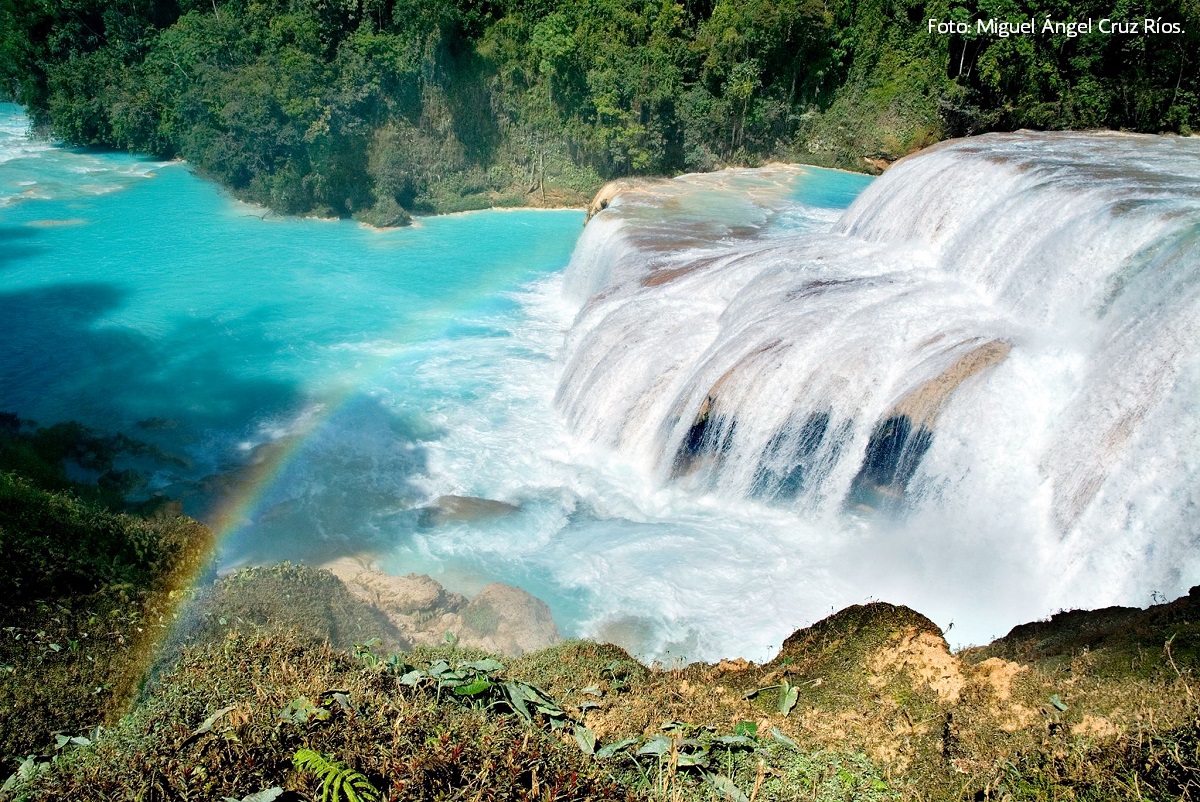 Cascadas de Agua Azul – Disfruta Chiapas